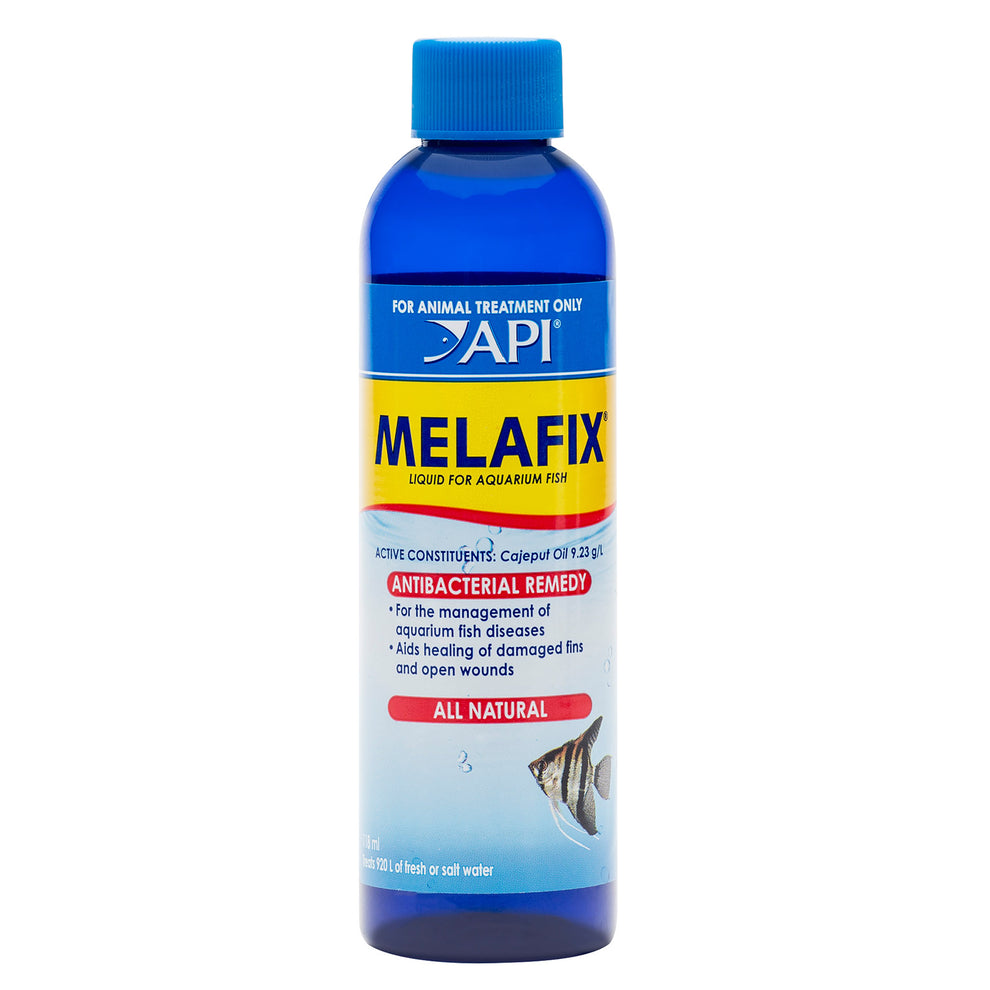 Api - Melafix | Pets Wonderland