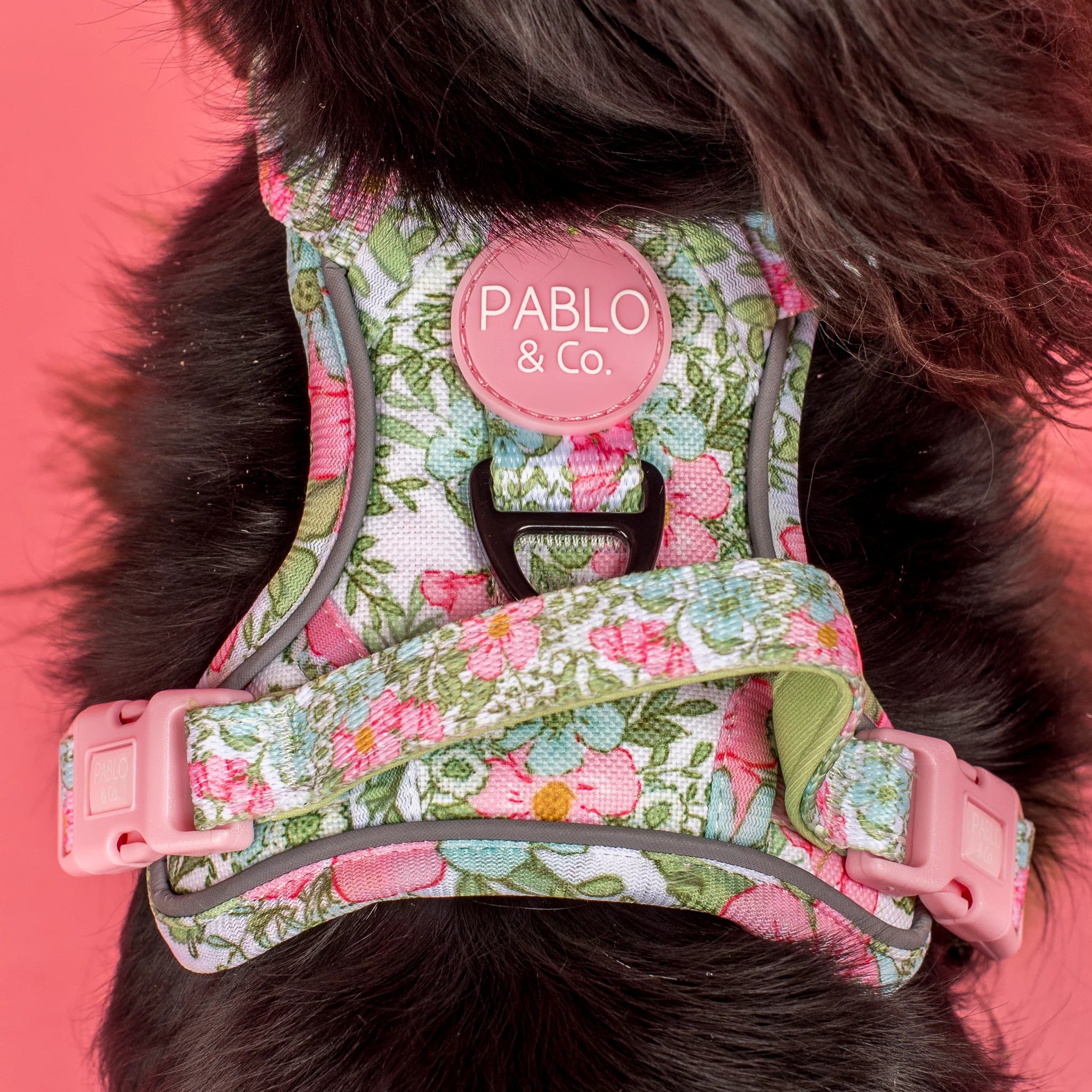Pablo & Co - Adventure Harness "Flora & Fern"