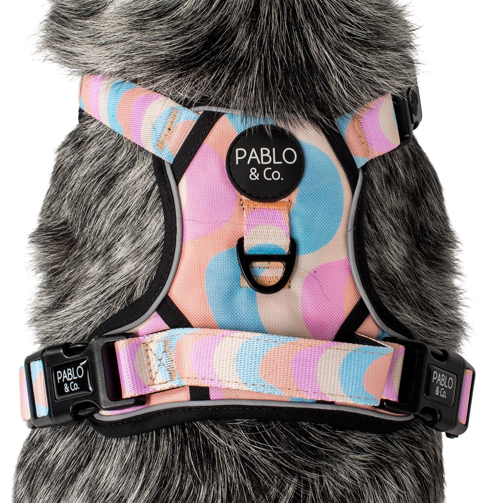 Pablo & Co. - Adventure Harness "Wavy" X Large