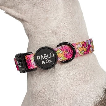 Pablo & Co. - Collar "In Bloom" | Pets Wonderland