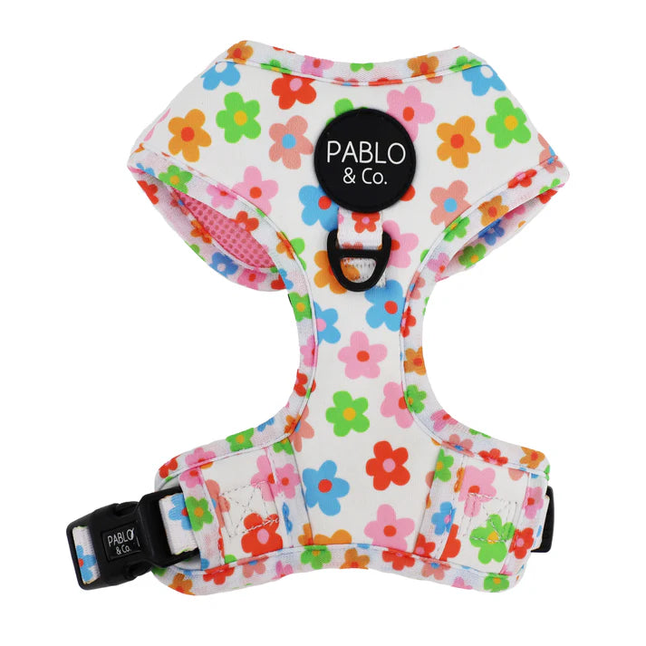 Pablo & Co. - Harness "Posy"