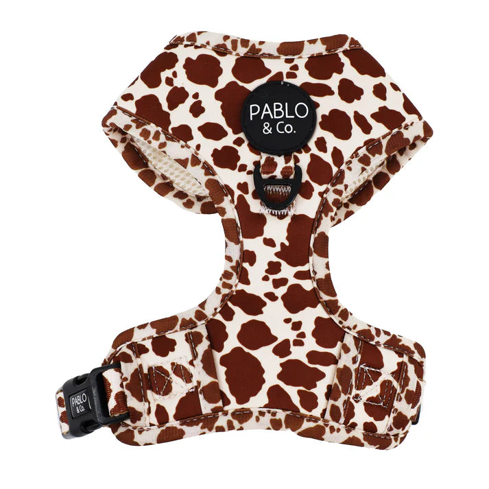 Pablo & Co. - Harness "Rodeo" | Pets Wonderland